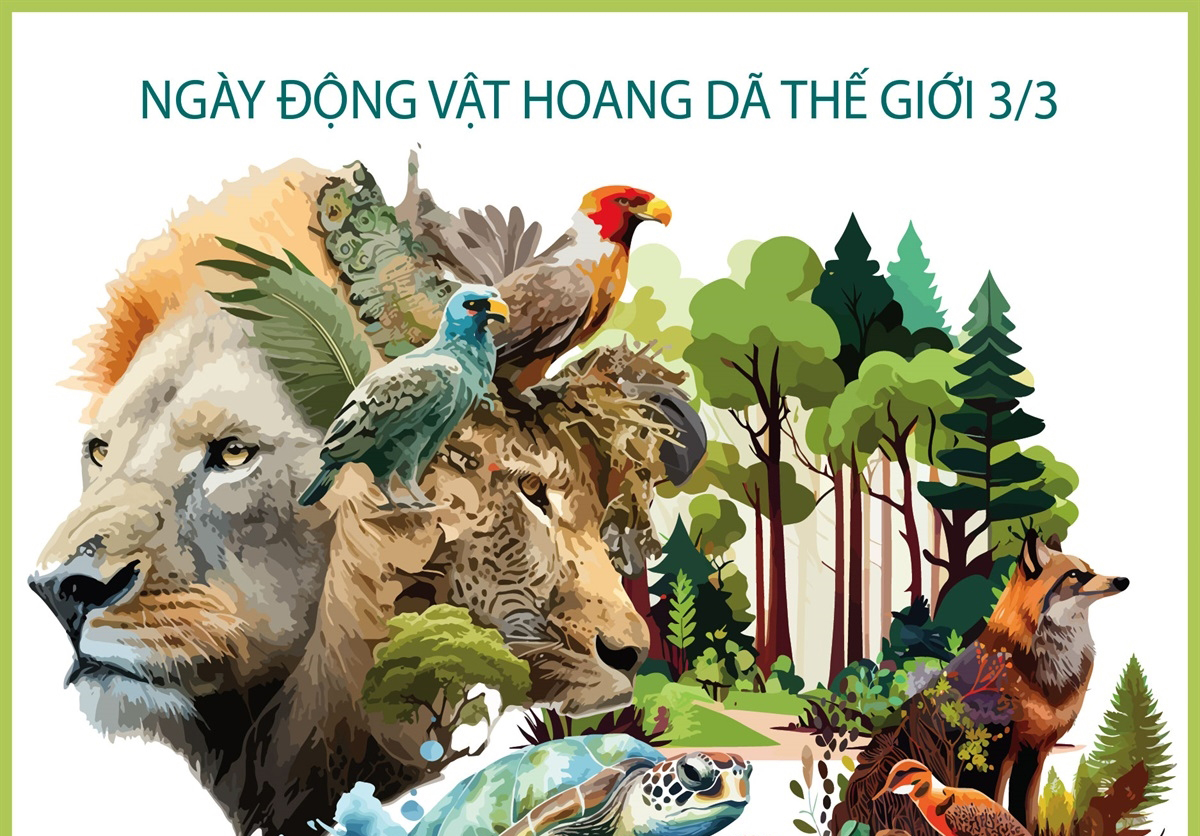 Ngày Động vật hoang dã thế giới 3/3: Làm gì để bảo vệ động vật hoang dã ...