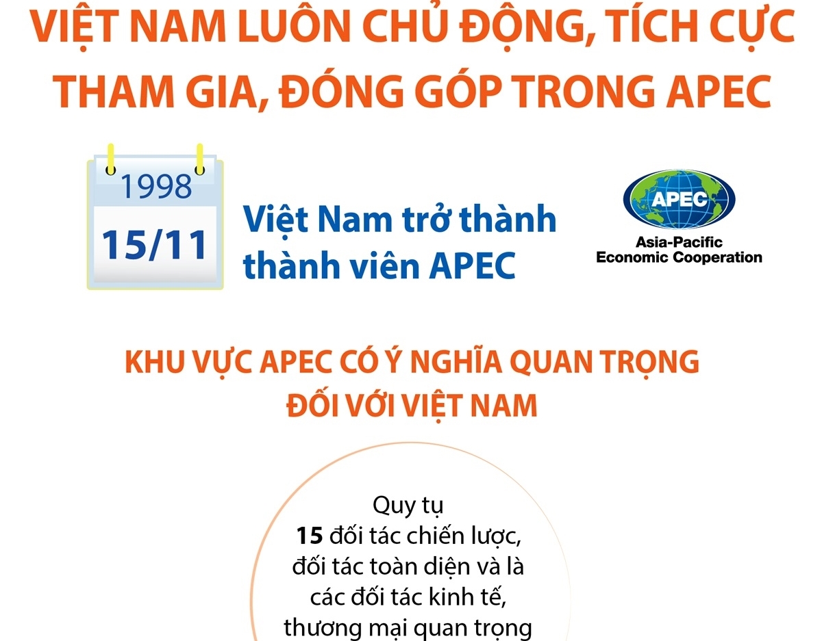 Việt Nam luôn chủ động, tích cực tham gia, đóng góp trong APEC | baotintuc.vn