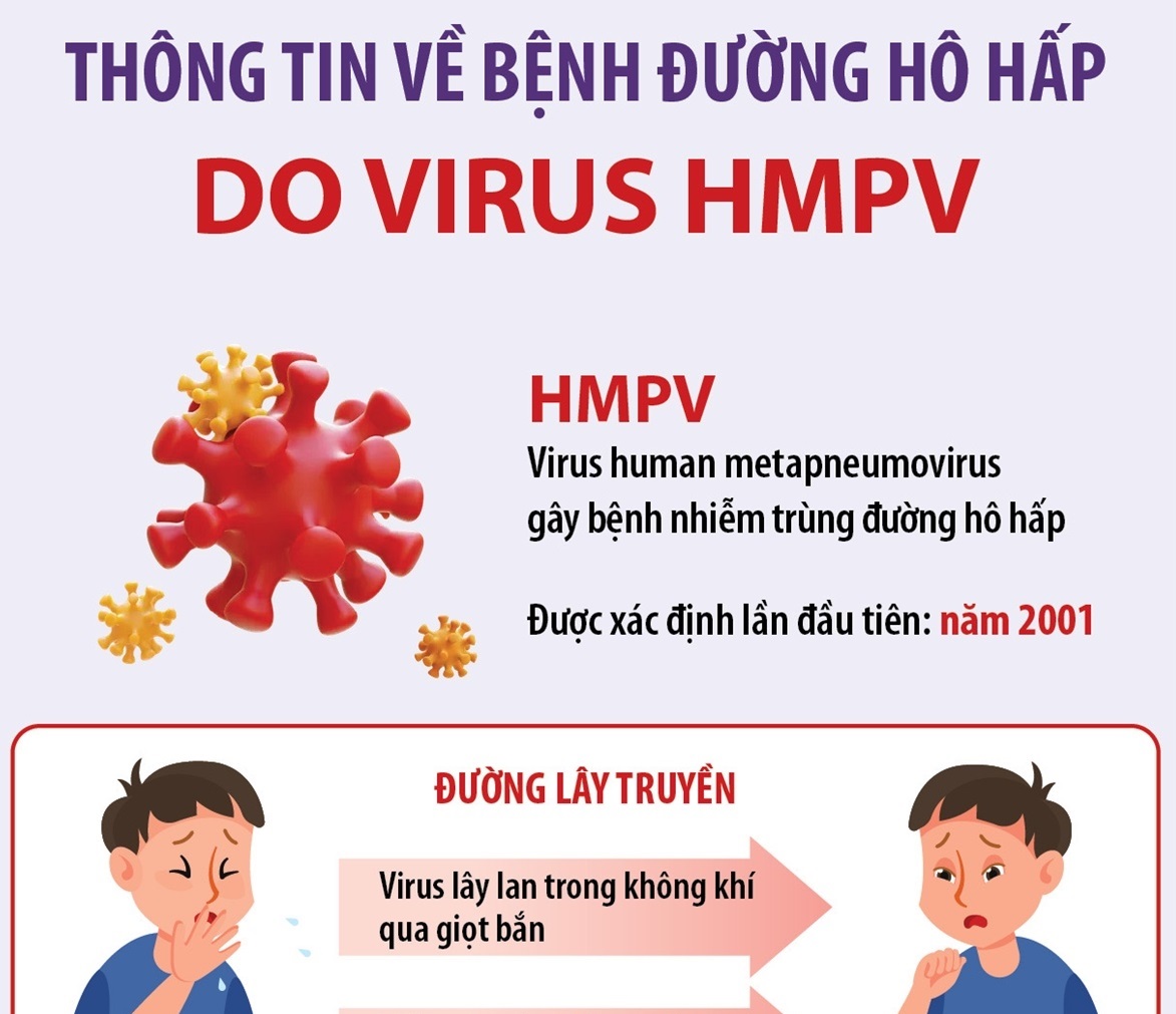 Thông tin về bệnh đường hô hấp do virus HMPV | baotintuc.vn