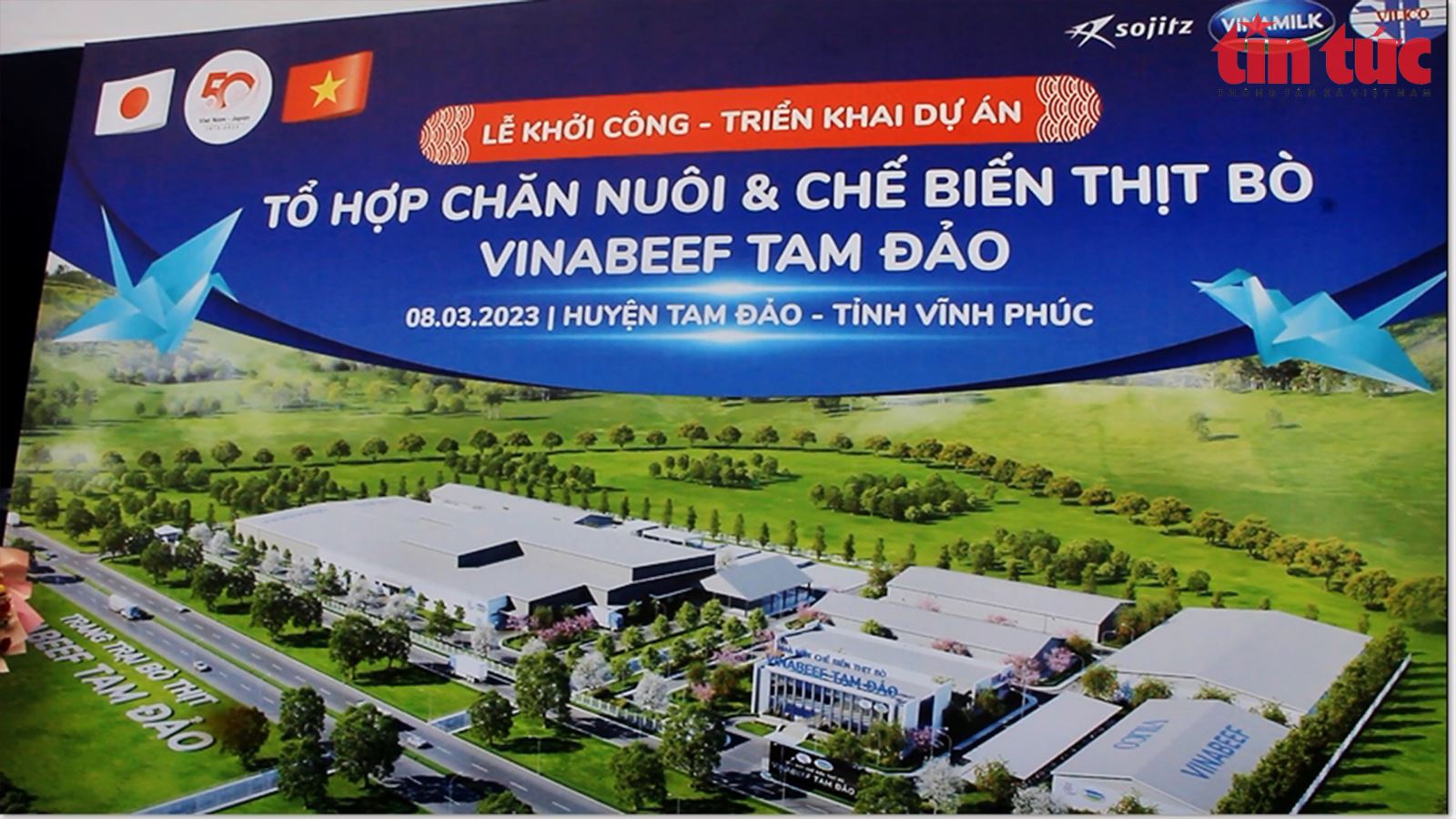 Khởi công tổ hợp chăn nuôi chế biến thịt bò Vinabeef Tam Đảo | baotintuc.vn