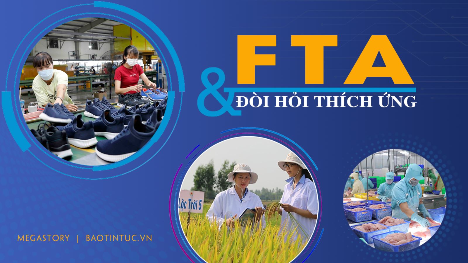 FTA và đòi hỏi thích ứng | baotintuc.vn