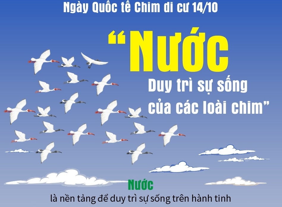 Ngày Quốc tế Chim di cư 14/10 'Nước: Duy trì sự sống của các loài chim ...
