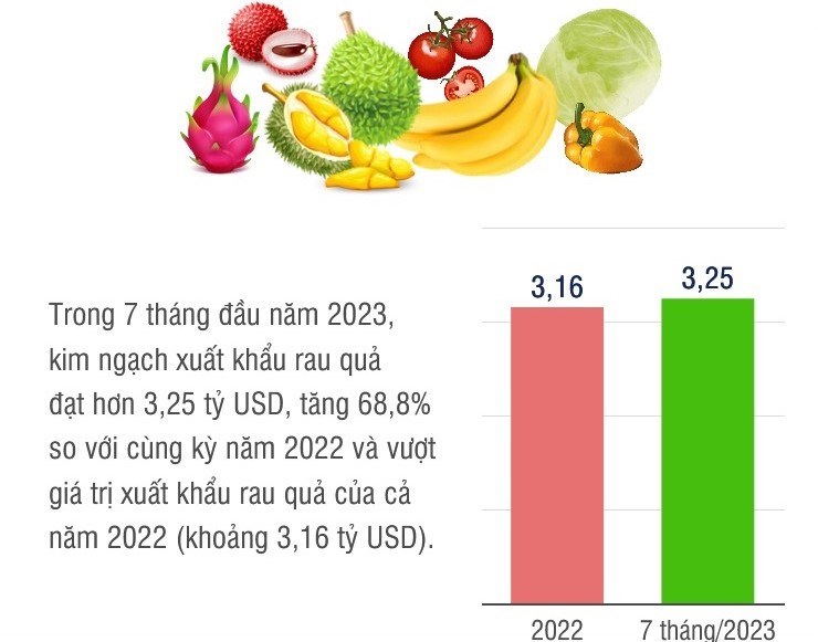 7 tháng đầu năm 2023, xuất khẩu rau quả vượt cả năm 2022 | baotintuc.vn